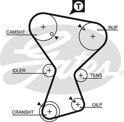 PowerGrip Belt - Gates